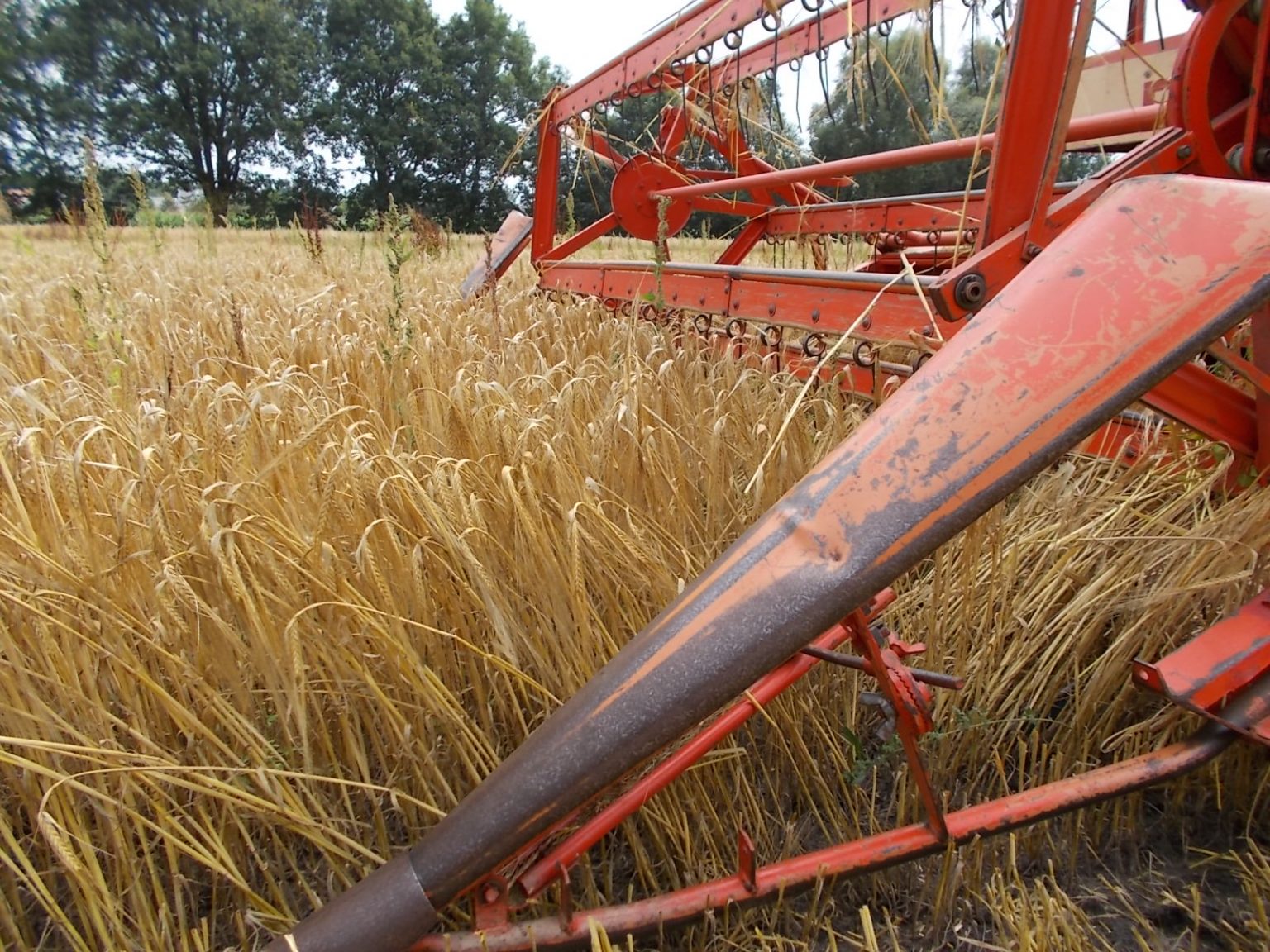 Braugerste – Landwirtschaft und Agrarberatung Dr. Johannes große Beilage