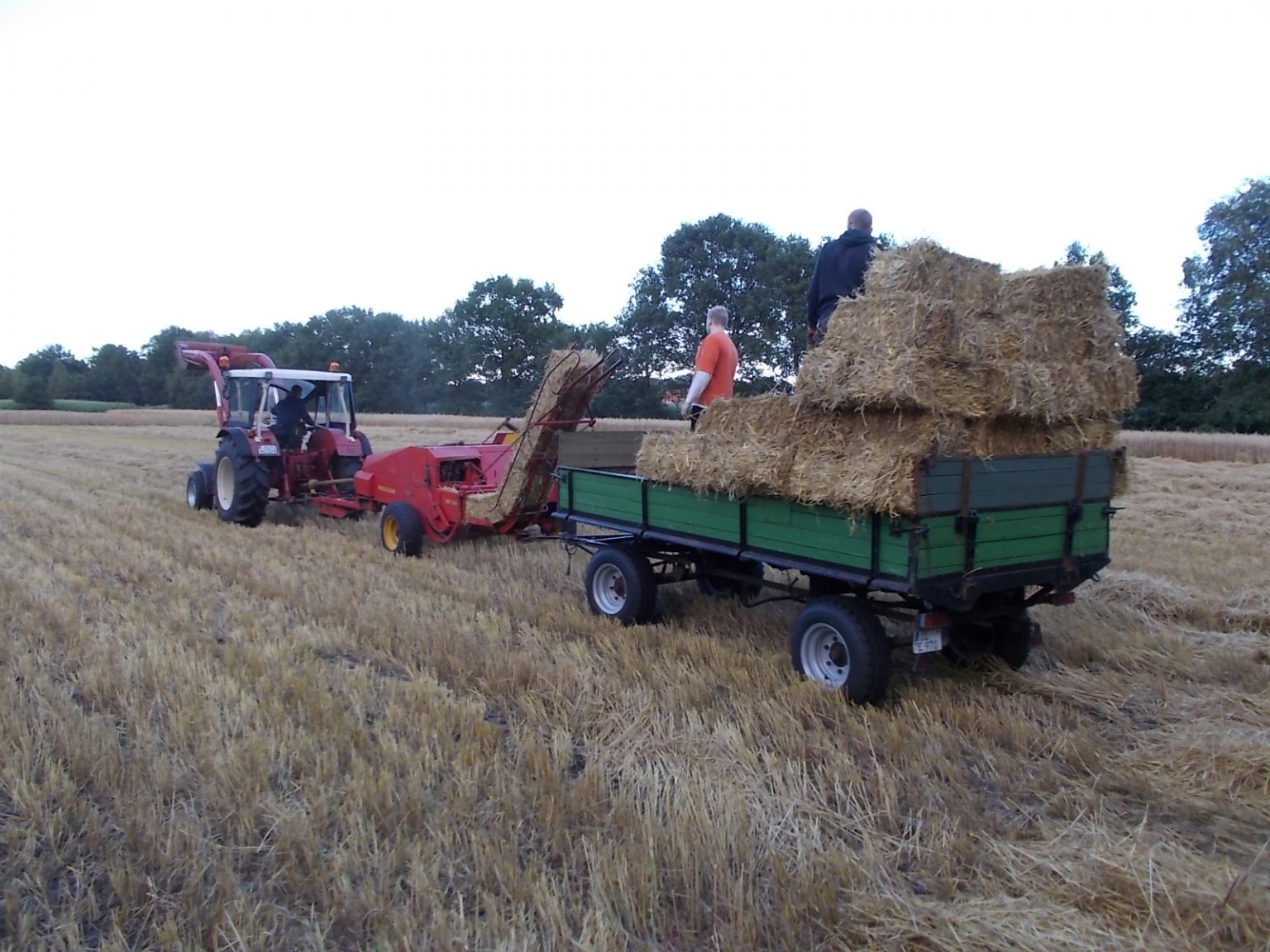 Braugerste – Landwirtschaft und Agrarberatung Dr. Johannes große Beilage